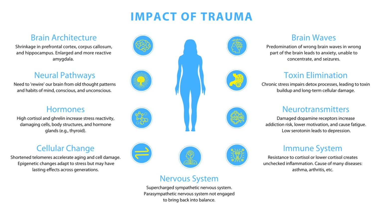 IMPACT OF TRAUMA | Vitality Living
